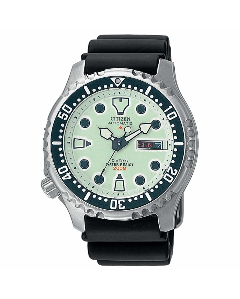 Citizen Promaster Diver's Automatic 200m Watch with Luminescent Dial ...